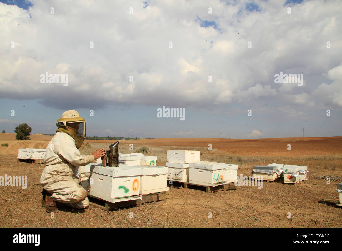 Israel, Bee hives in the Northern Negev Stock Photo - Alamy