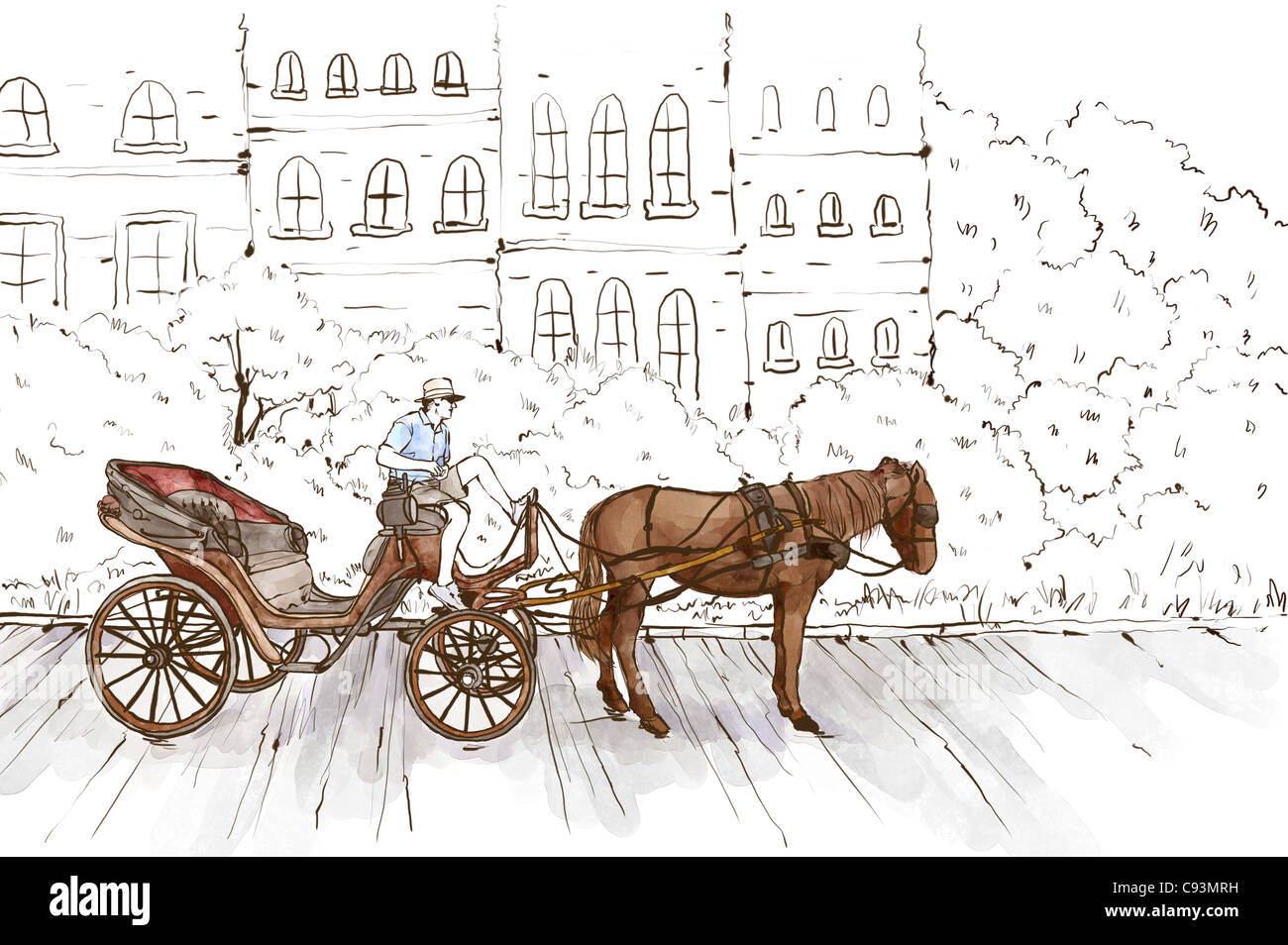 Man riding horse cart Stock Photo - Alamy