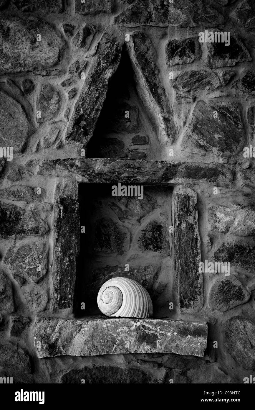 shell on stone shelf Stock Photo - Alamy