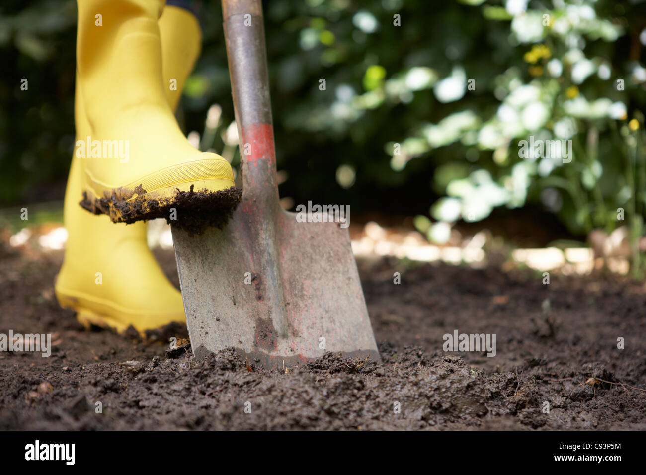 Person digging in garden Stock Photo - Alamy
