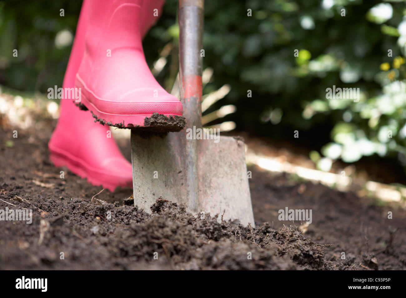 Woman digging in garden Stock Photo - Alamy