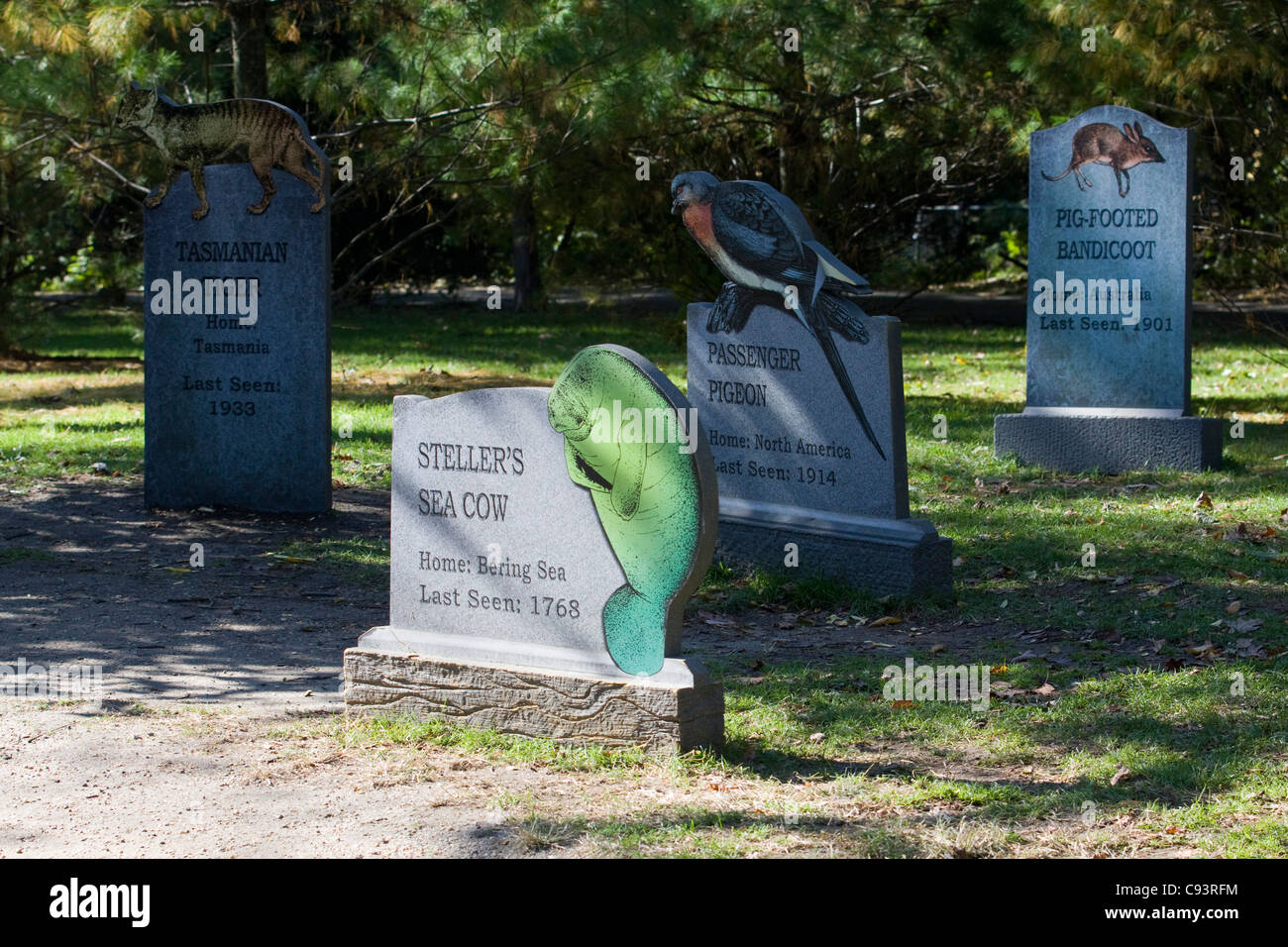 Extinct animal graveyard hi-res stock photography and images - Alamy