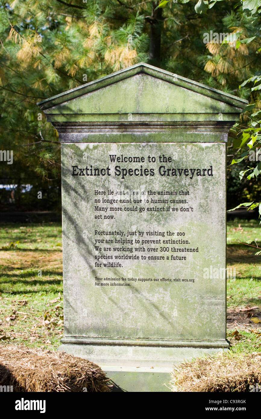 Extinct animal graveyard hi-res stock photography and images - Alamy