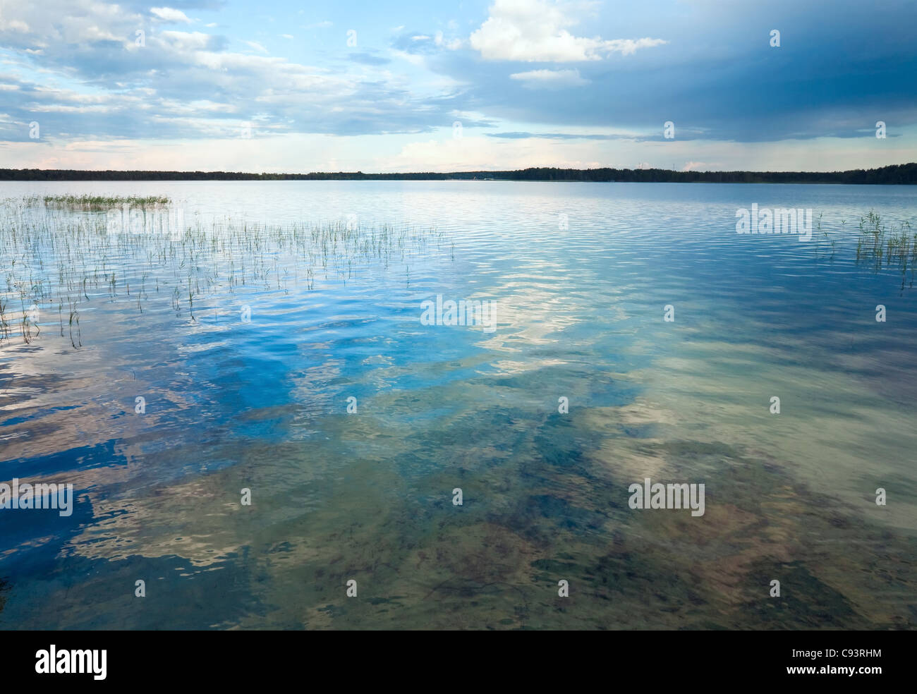 Rushy hi-res stock photography and images - Alamy
