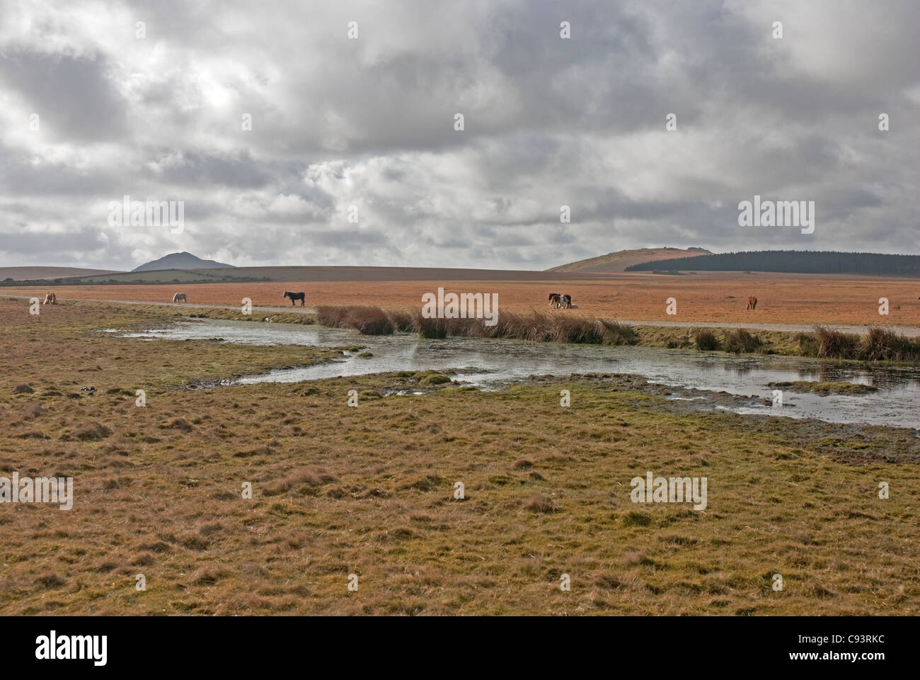 Davidstow Moor Stock Photos & Davidstow Moor Stock Images - Alamy