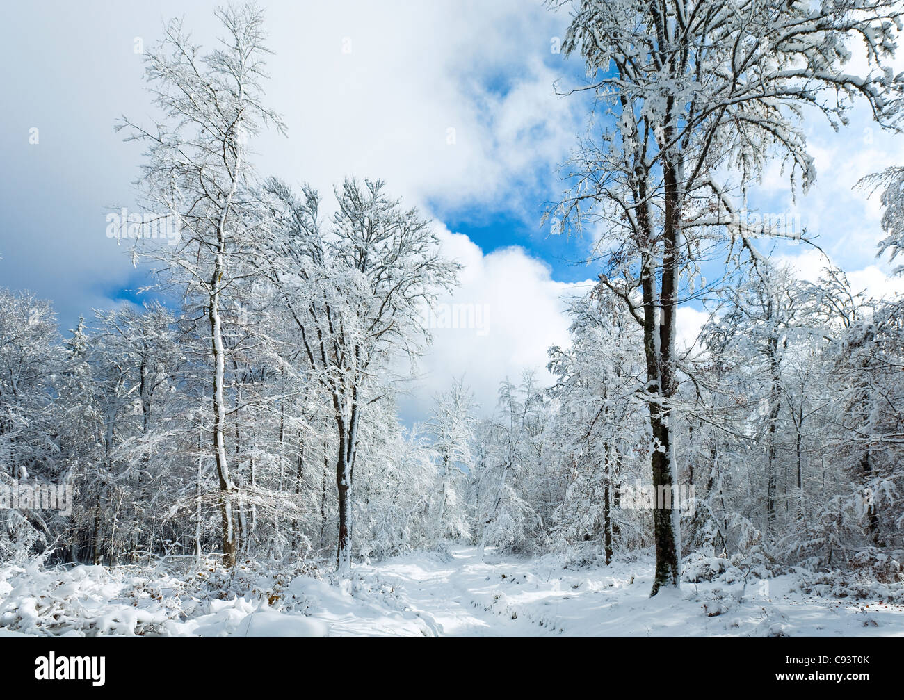 Snowbound winter country road through beautiful mountain snow covered ...