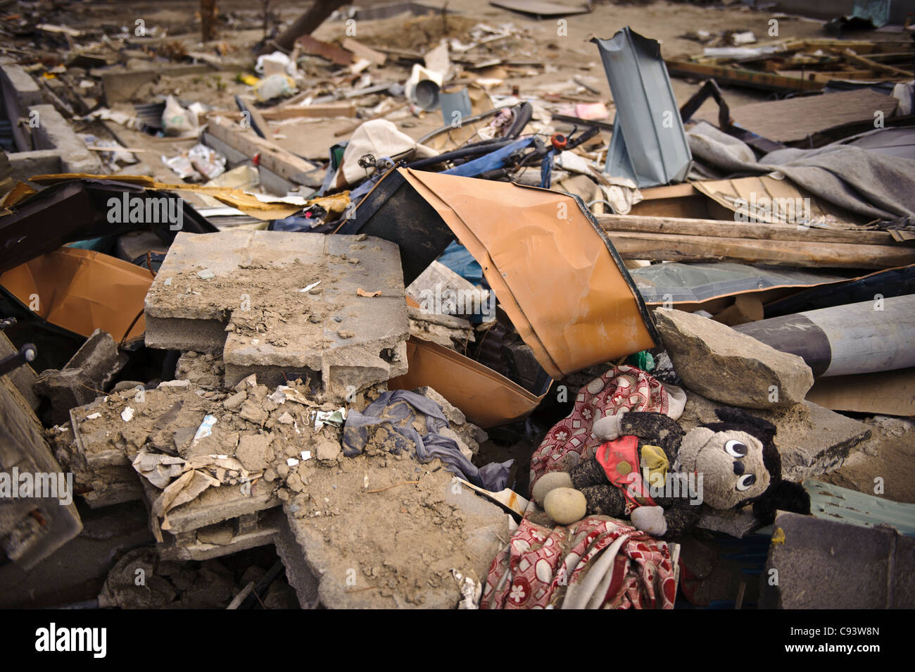 Tsunami Debris Bodies