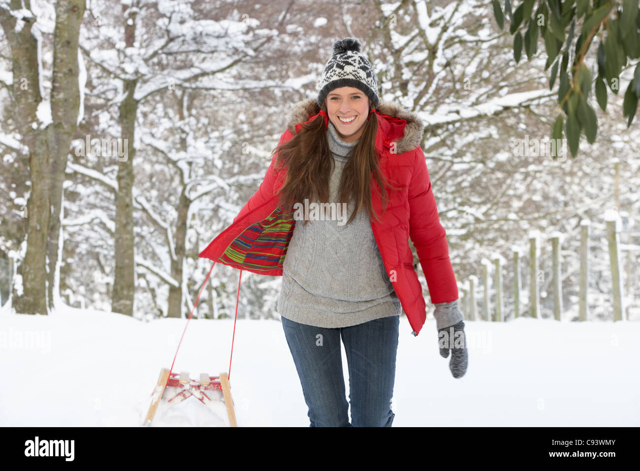 Snow sledge hi-res stock photography and images - Alamy