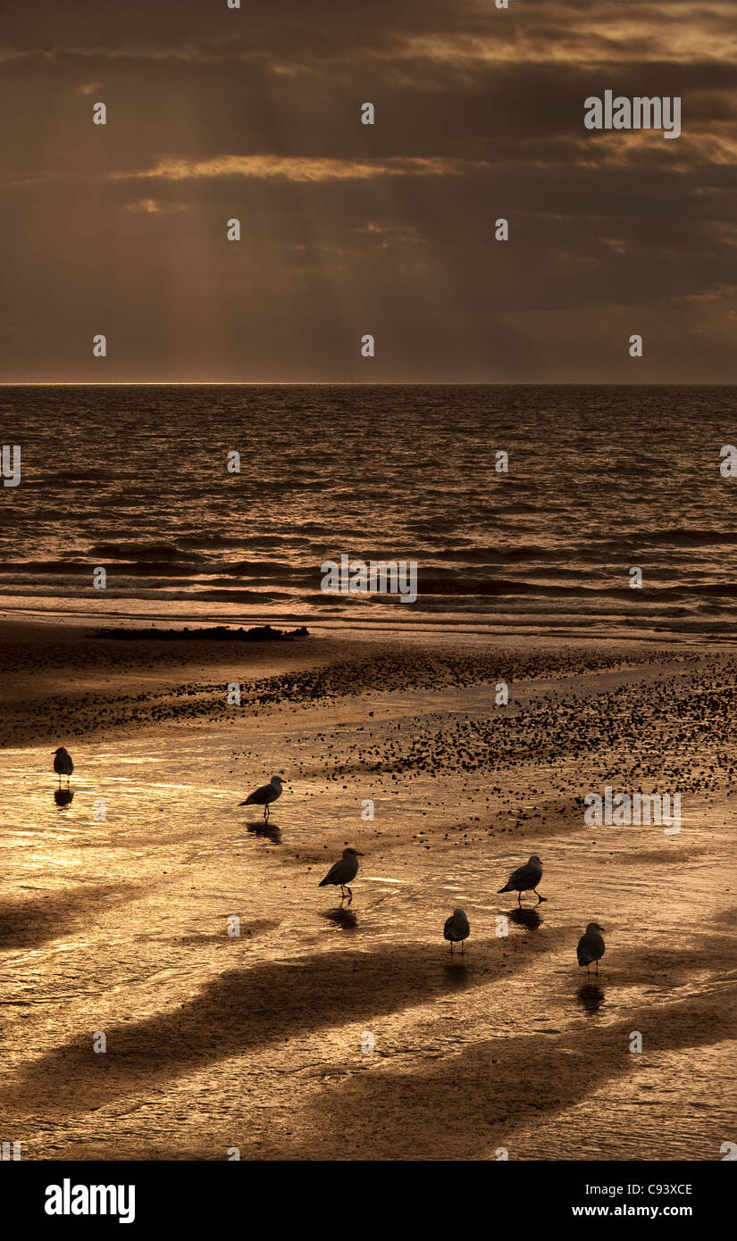 The sun setting over the Wash Hunstanton Norfolk Stock Photo - Alamy