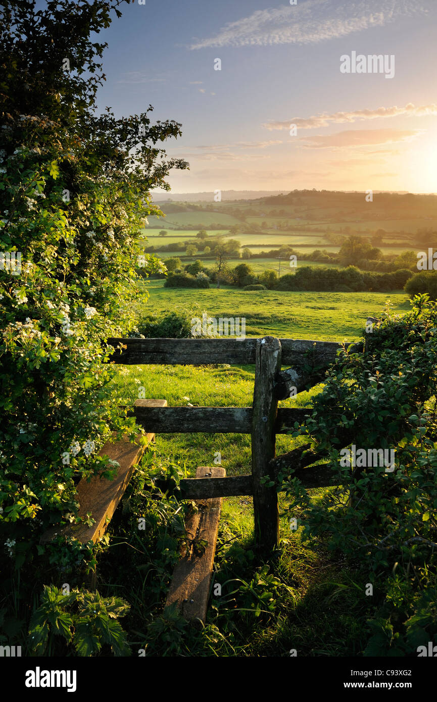 An old stile leading through a hedge into green countryside in Somerset ...