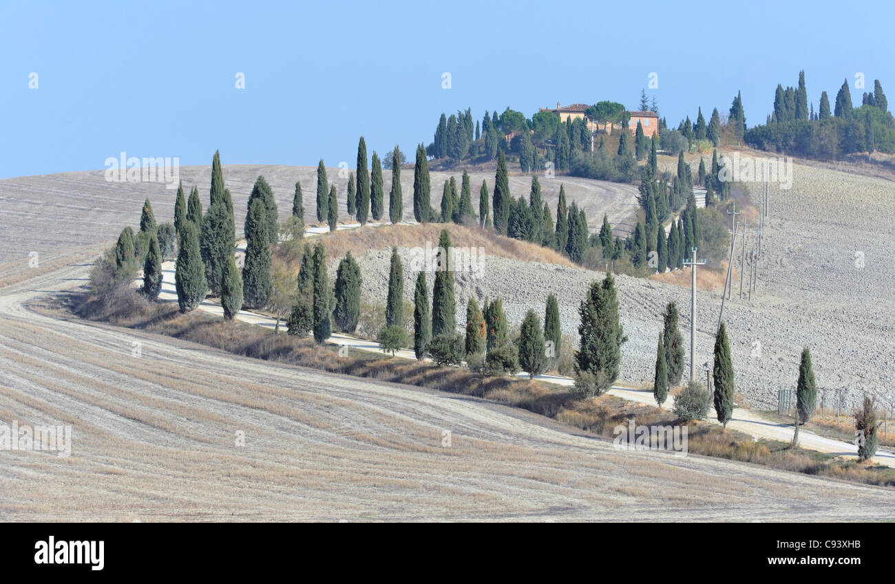 Classic tuscan view in la crete, tuscany Stock Photo - Alamy