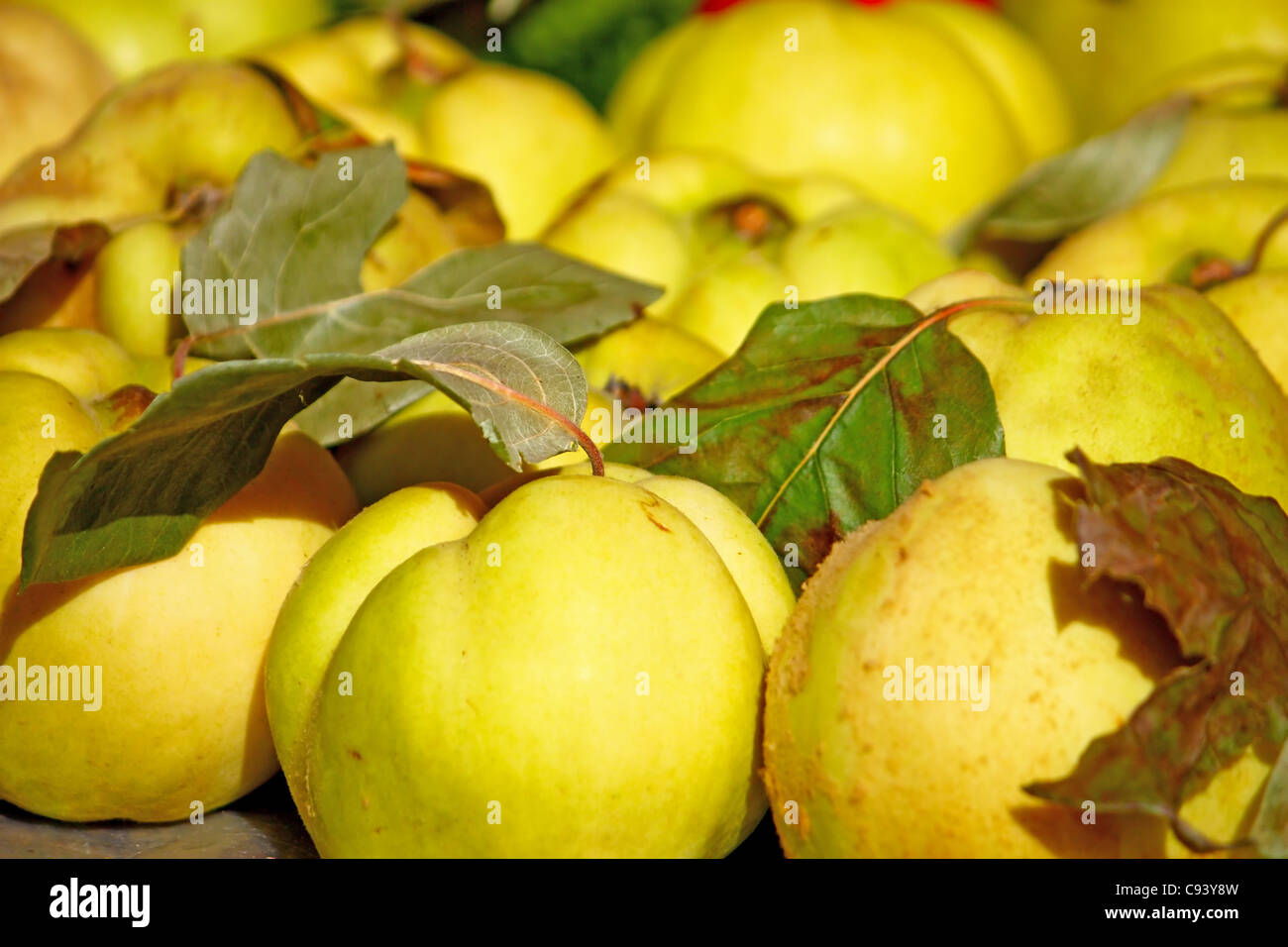Quince fruit hi-res stock photography and images - Alamy