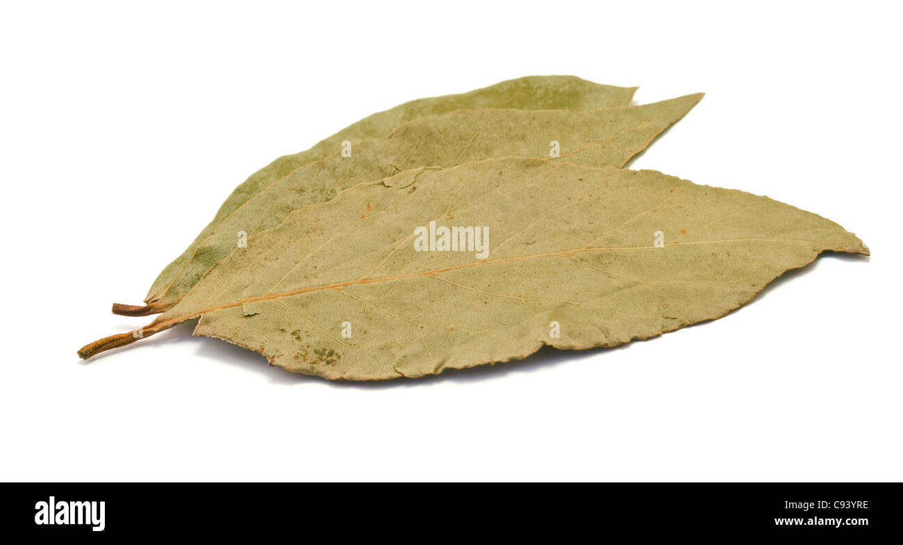 dry bay leaves isolated on white Stock Photo - Alamy