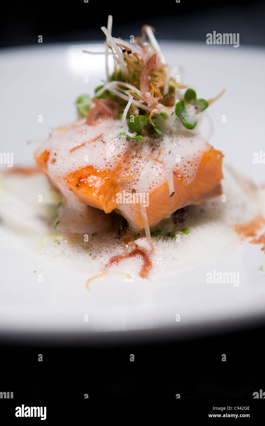 Emulsion Plate High Resolution Stock Photography and Images - Alamy