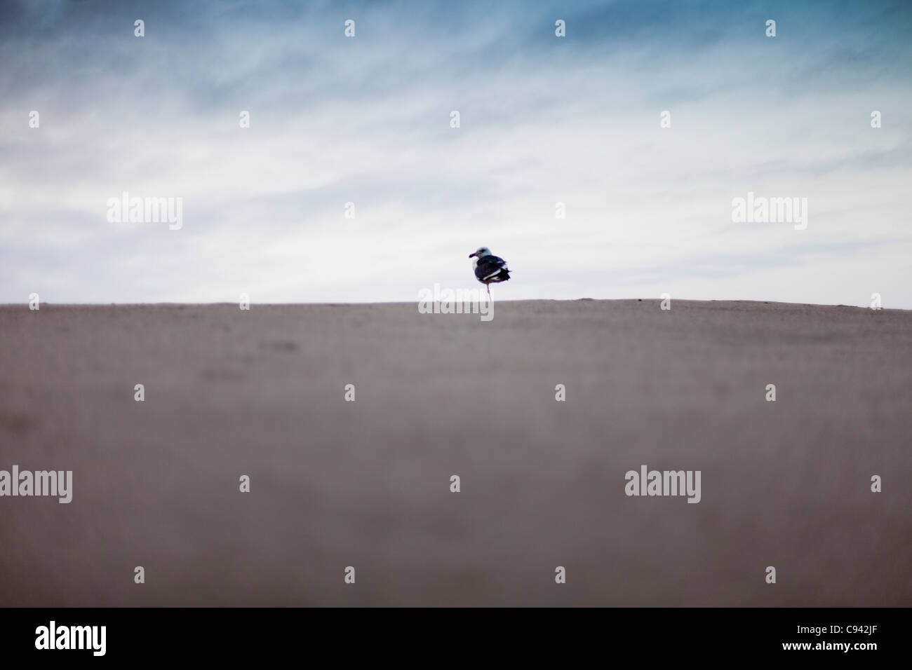 One legged creature hi-res stock photography and images - Alamy