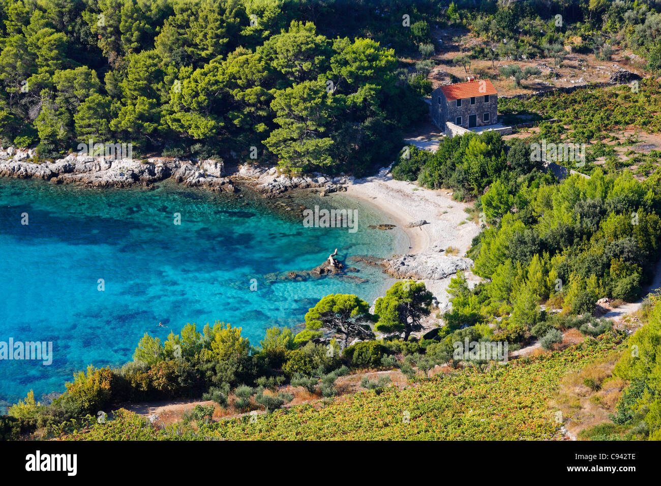 Beach in peninsula Peljesac near Trstenik village Stock Photo - Alamy