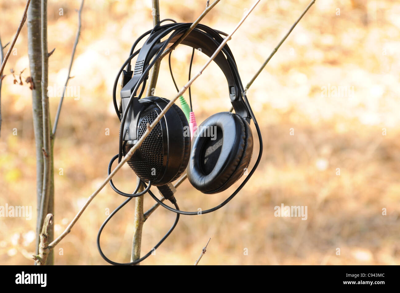 Headphones hanging tree hi-res stock photography and images - Alamy