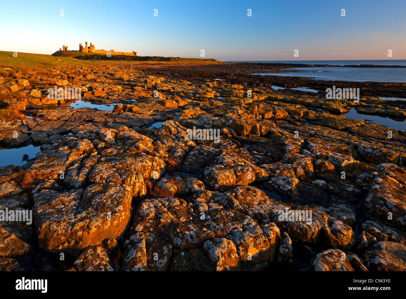 Dunstanburgh Castle with rocks below, in the early morning light ...