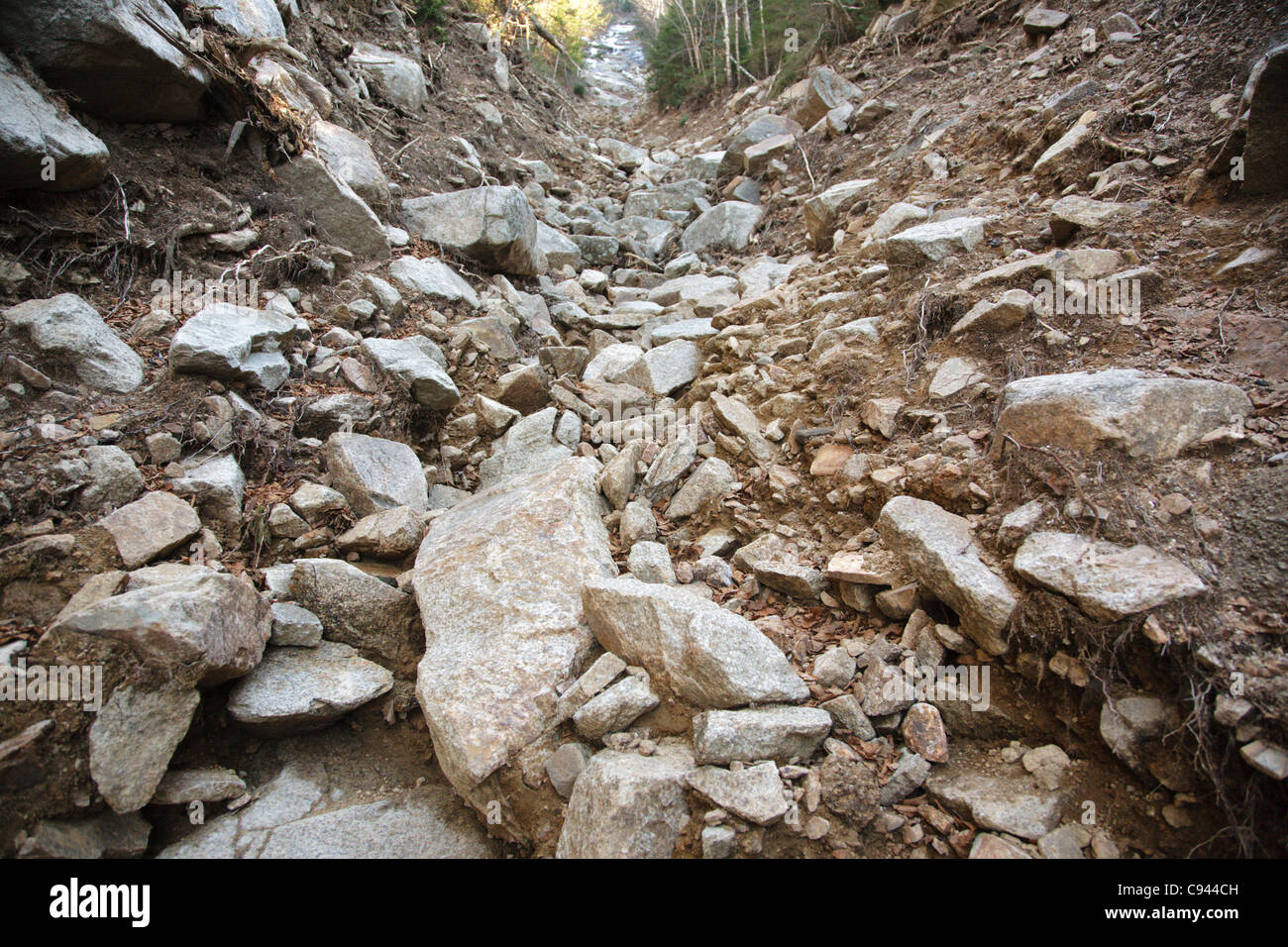 Landslide path on the side of the Hancock Mountain Range in the ...