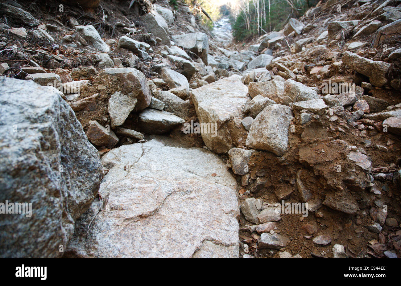 Landslide path on the side of the Hancock Mountain Range in the ...