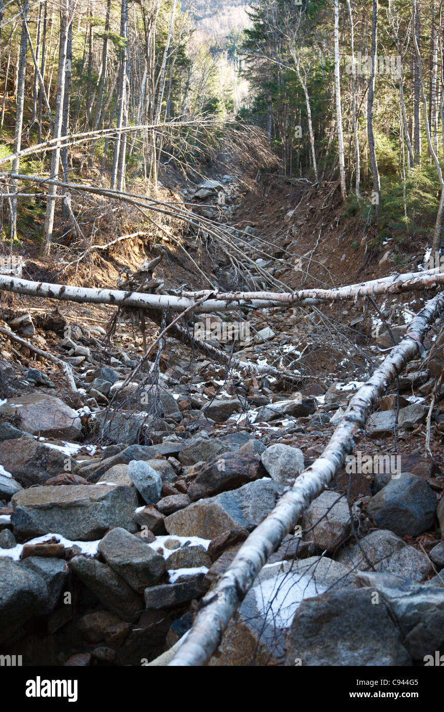 Landslide path on the side of the Hancock Mountain Range in the ...