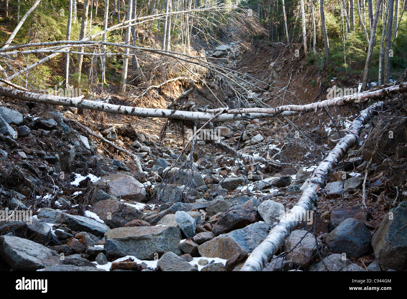 Landslide path on the side of the Hancock Mountain Range in the ...