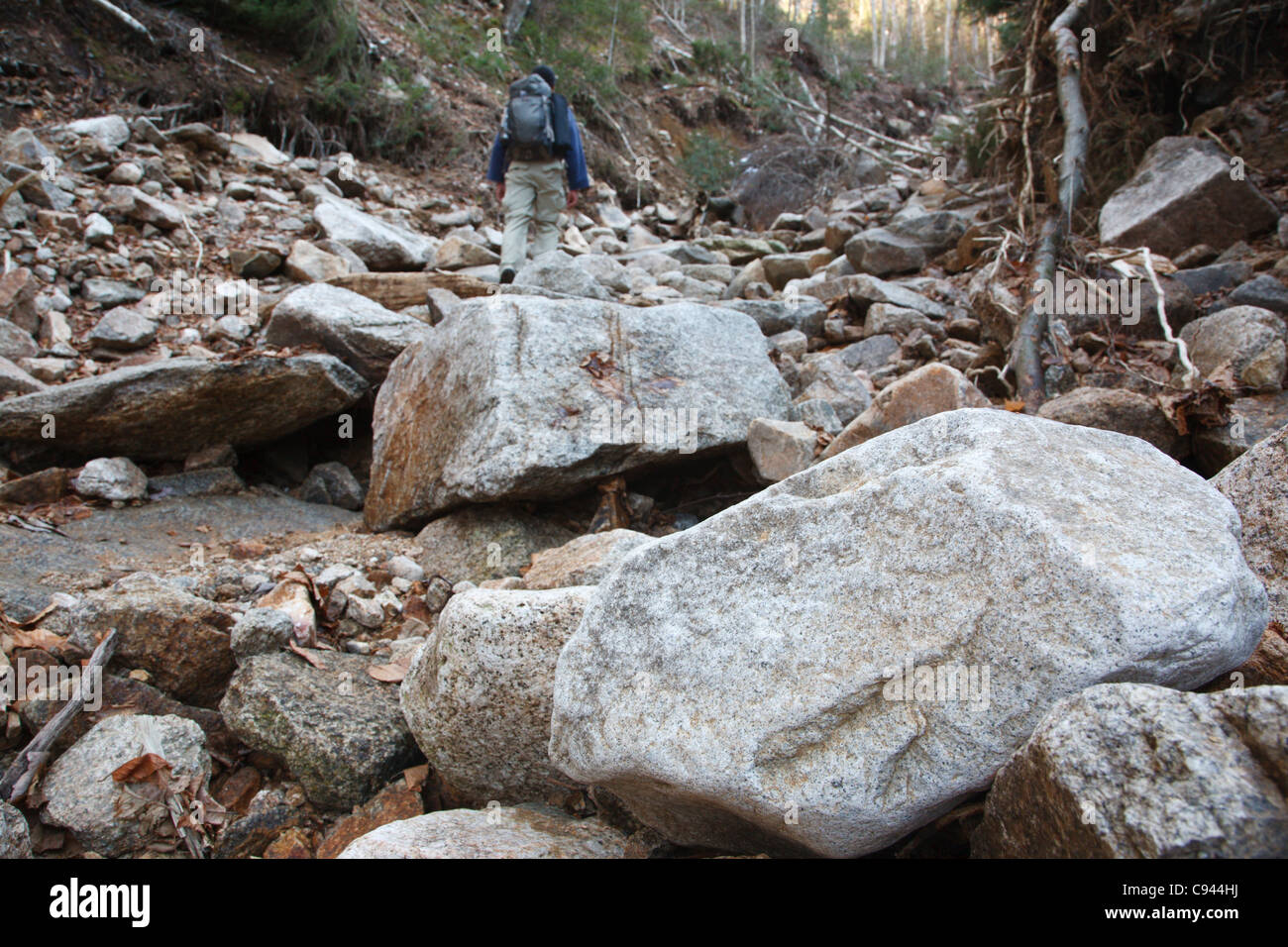 Landslide path on the side of the Hancock Mountain Range in the ...