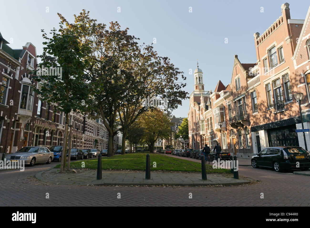 Avenue trees in netherlands hi-res stock photography and images - Alamy
