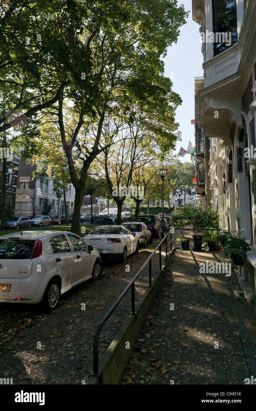 Avenue trees in netherlands hi-res stock photography and images - Alamy
