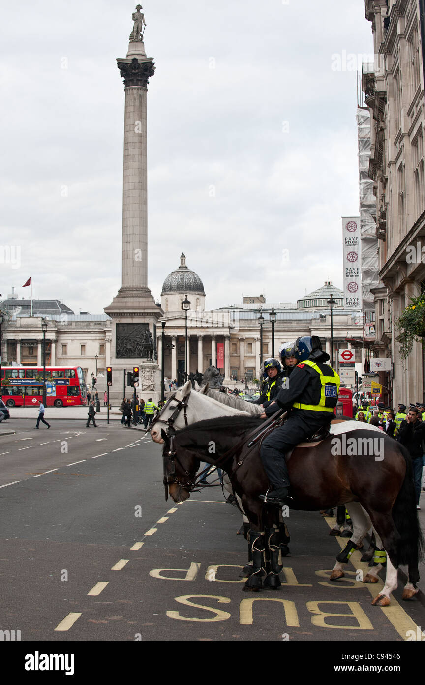 Met police horses hi-res stock photography and images - Alamy