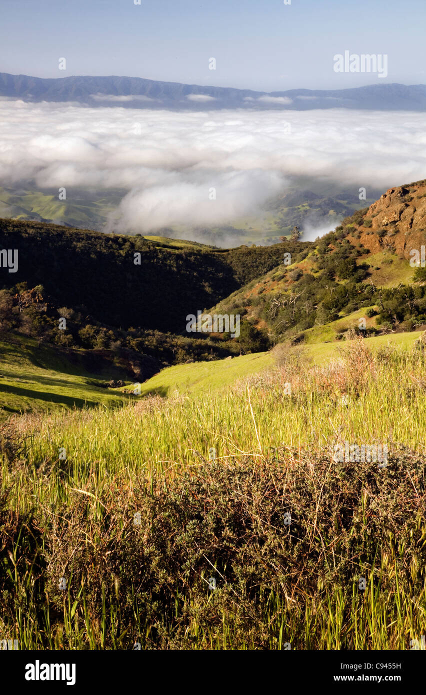 CALIFORNIA - Fog-filled Santa Ynez Valley to the Santa Ynez Mountains ...