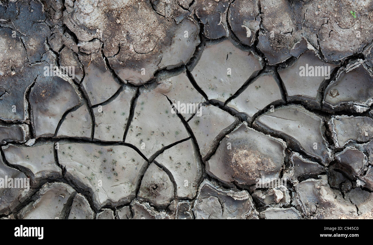 Clay Soil With Shrinkage Cracks High Resolution Stock Photography and ...
