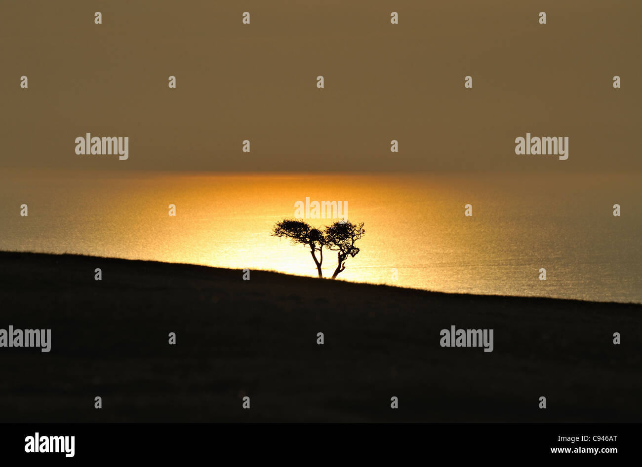 Sunset at Beachy Head, East Sussex, UK Stock Photo - Alamy