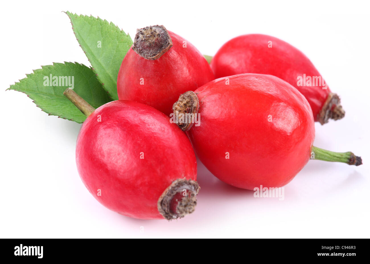 Rose hip hi-res stock photography and images - Alamy