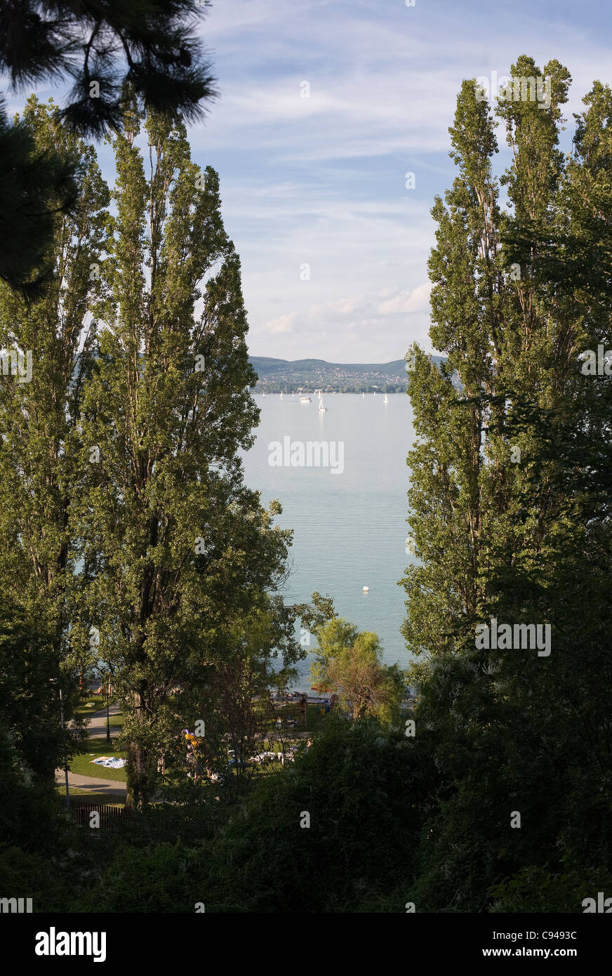 Summer holiday, view of the lake through trees Stock Photo - Alamy