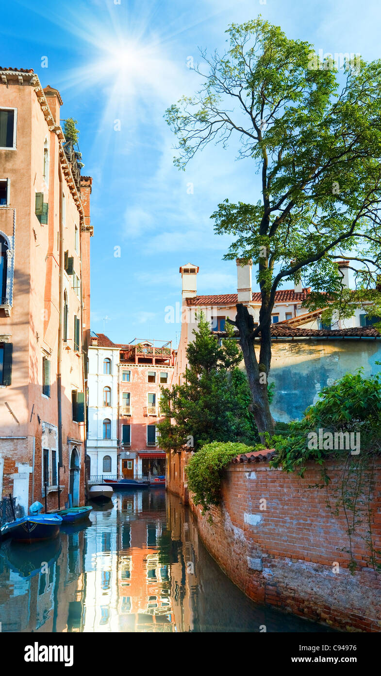 Nice summer venetian canal view with tree, sunshine in blue sky, and ...