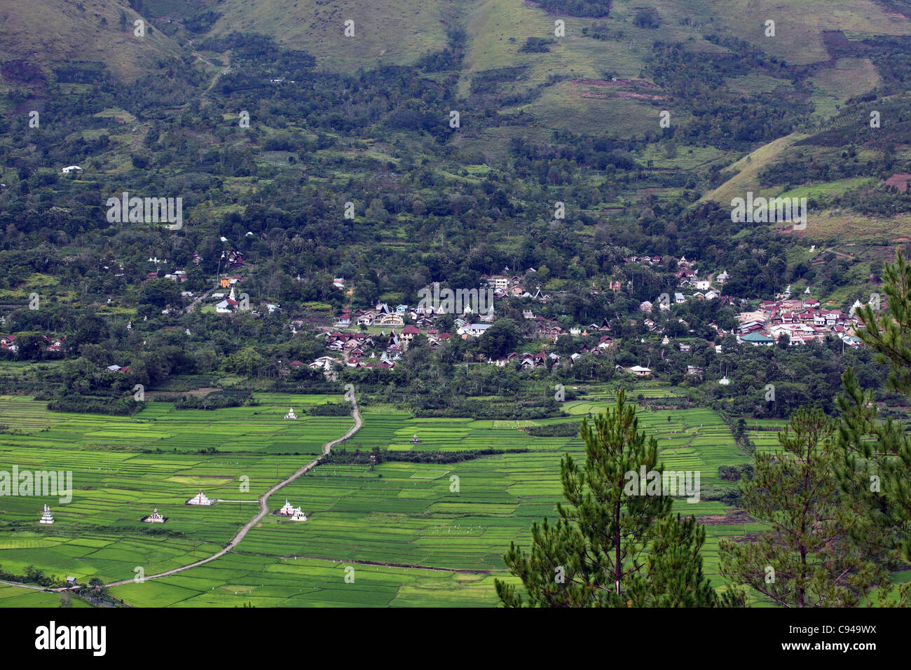 Traditional Batak village surrounded by rice paddies and mountains near ...