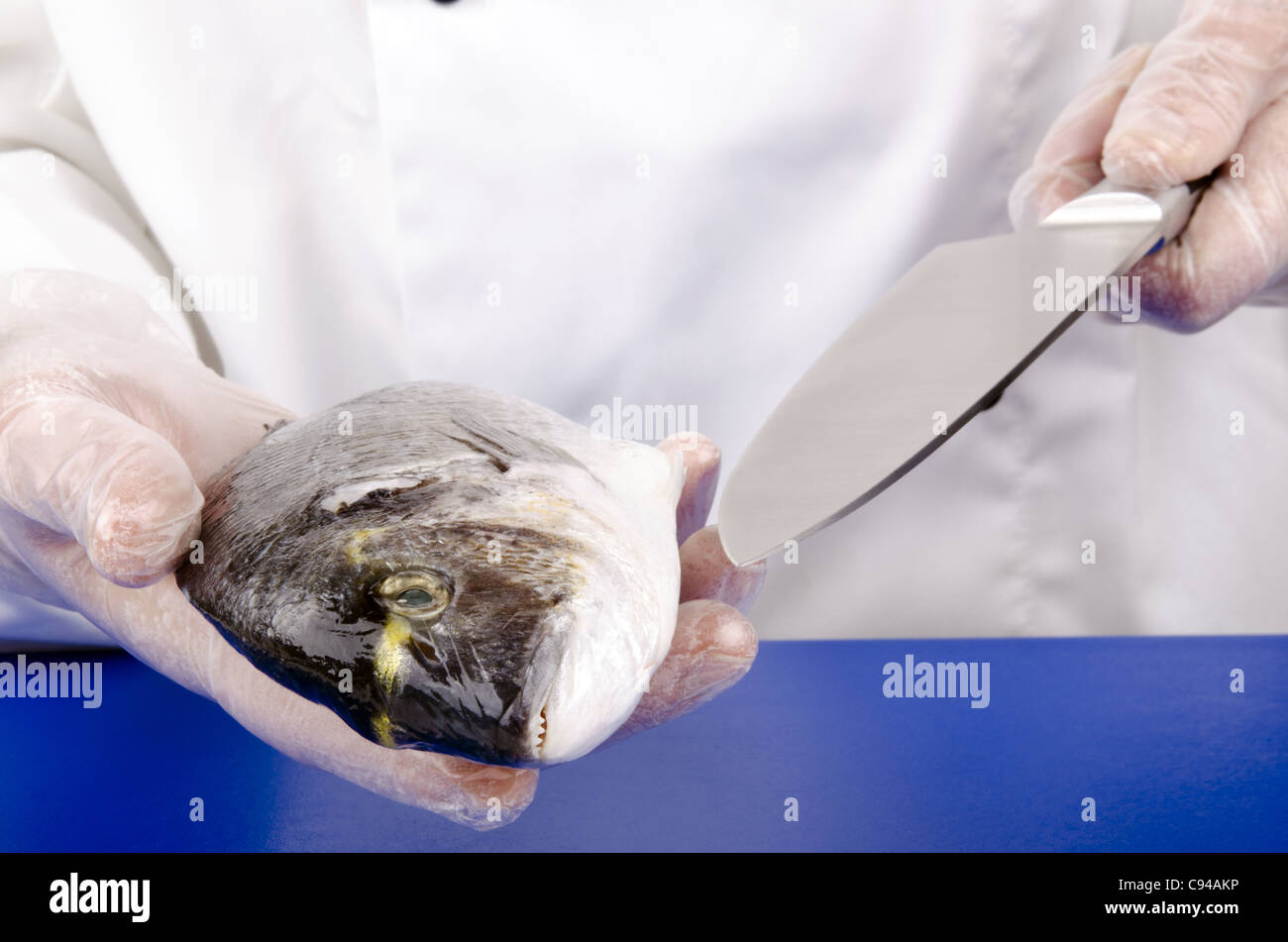 Cuts fish head hi-res stock photography and images - Alamy