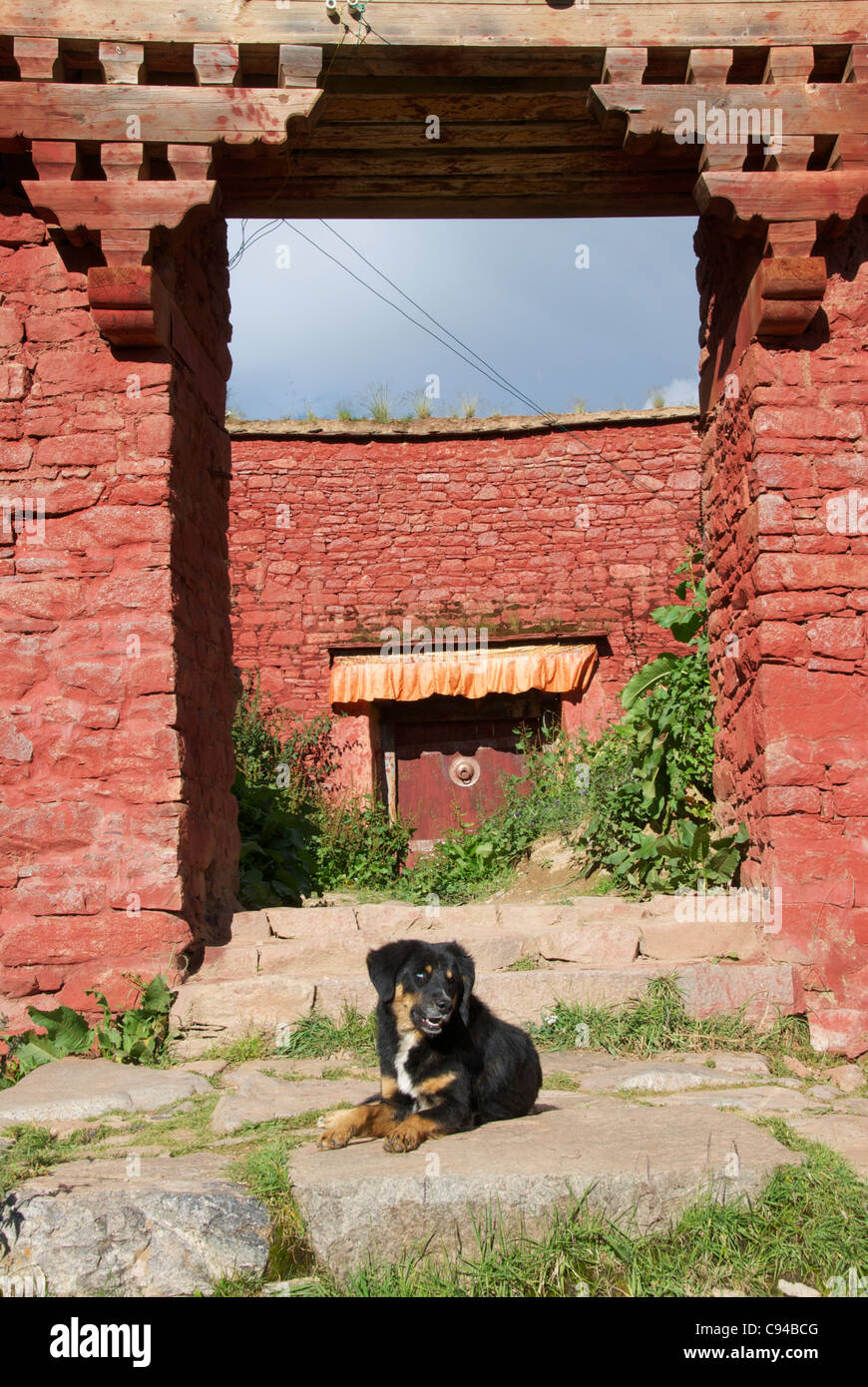 Monastery dog hi-res stock photography and images - Alamy
