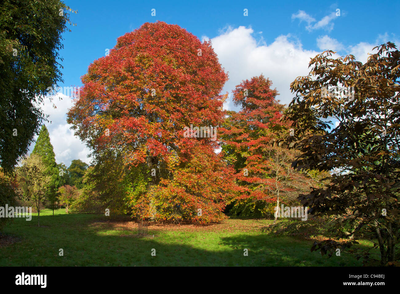 Blue sky landscape england hi-res stock photography and images - Alamy