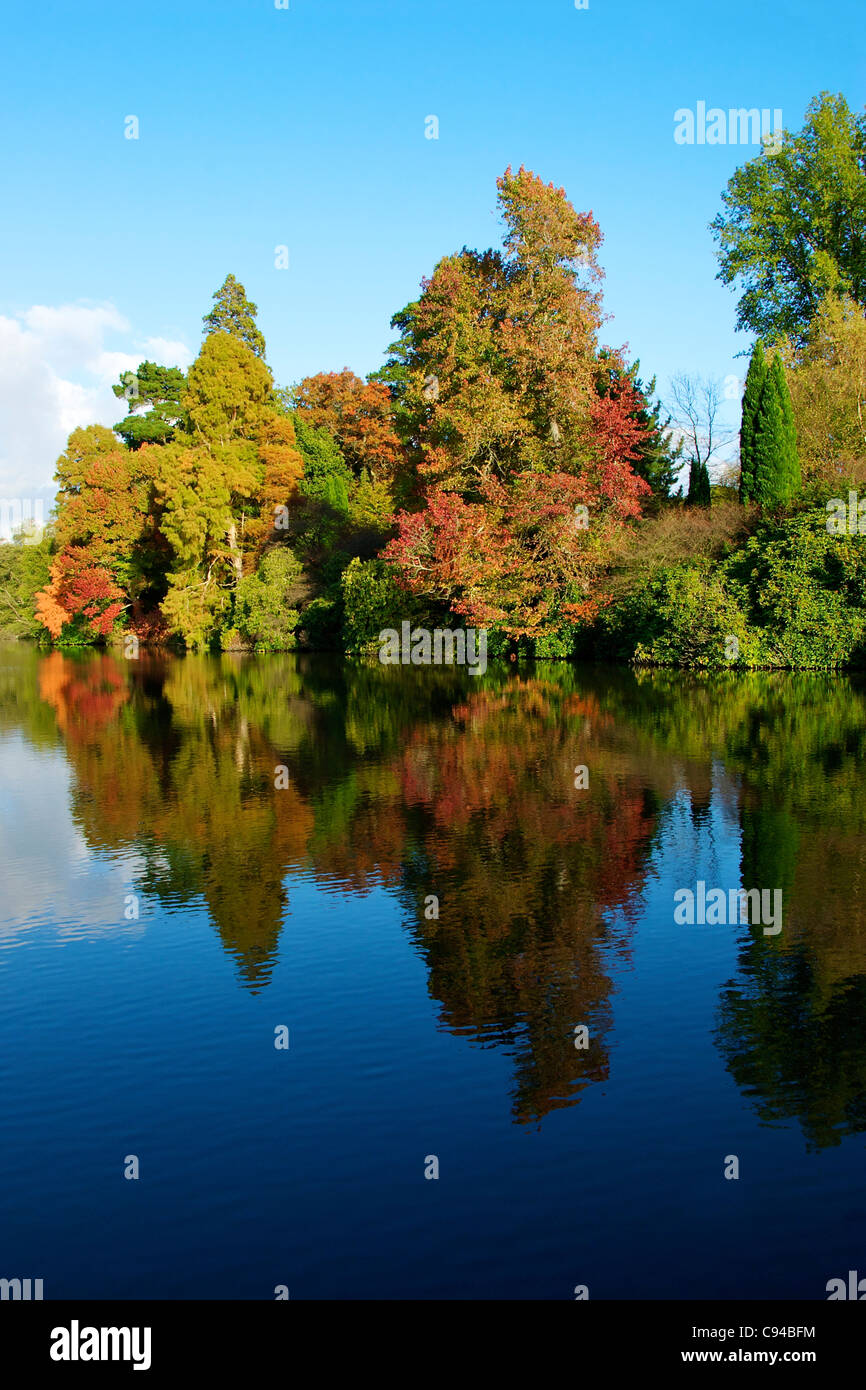 Reflection Autumn trees Stock Photo - Alamy