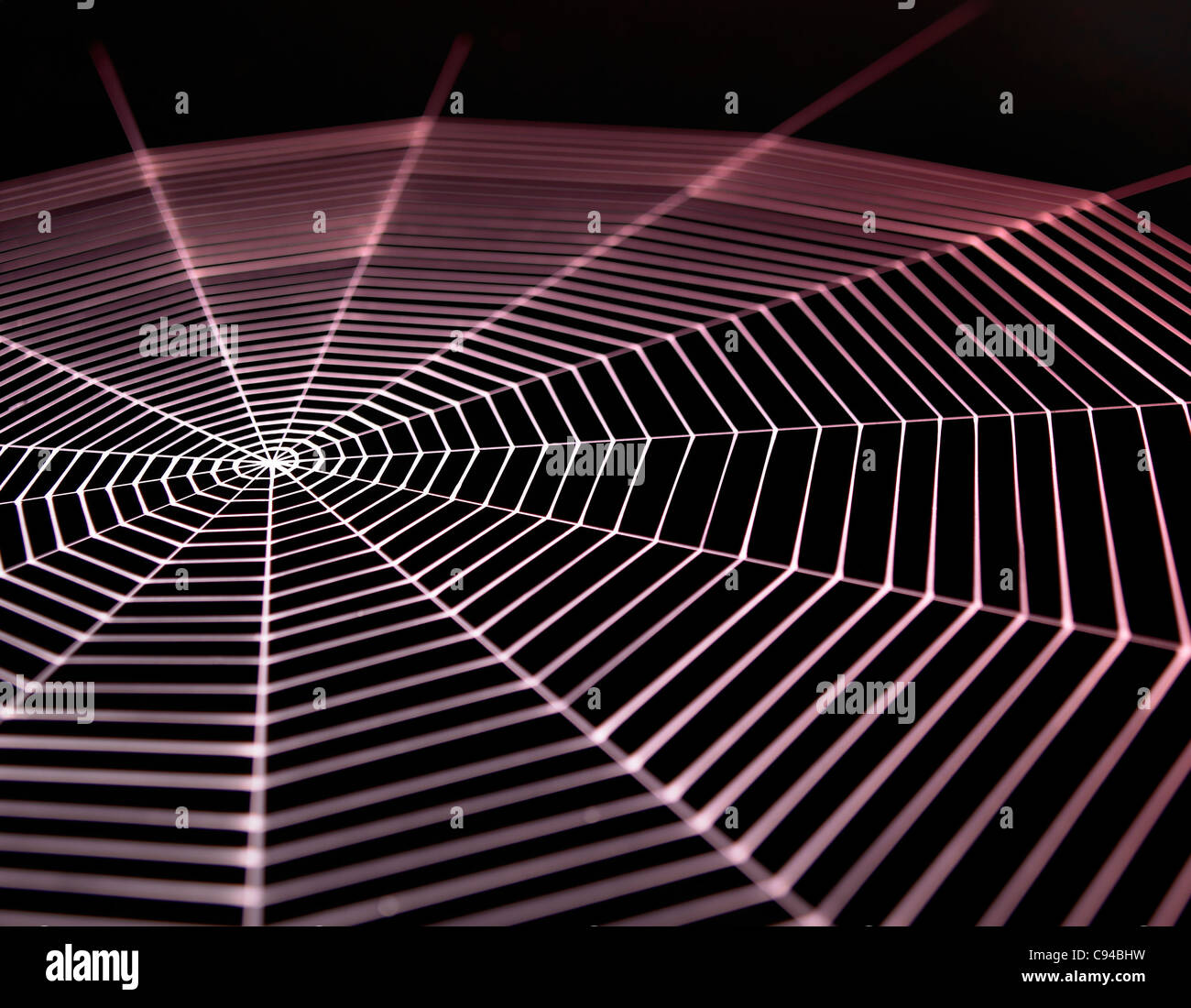 detail of a white painted spiderweb in dark back, red illuminated Stock ...