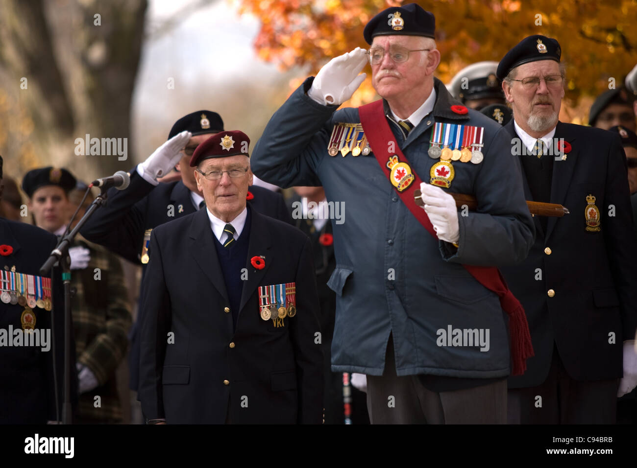 London Ontario, Canada - November 11, 2011. Remembrance Day ceremonies ...