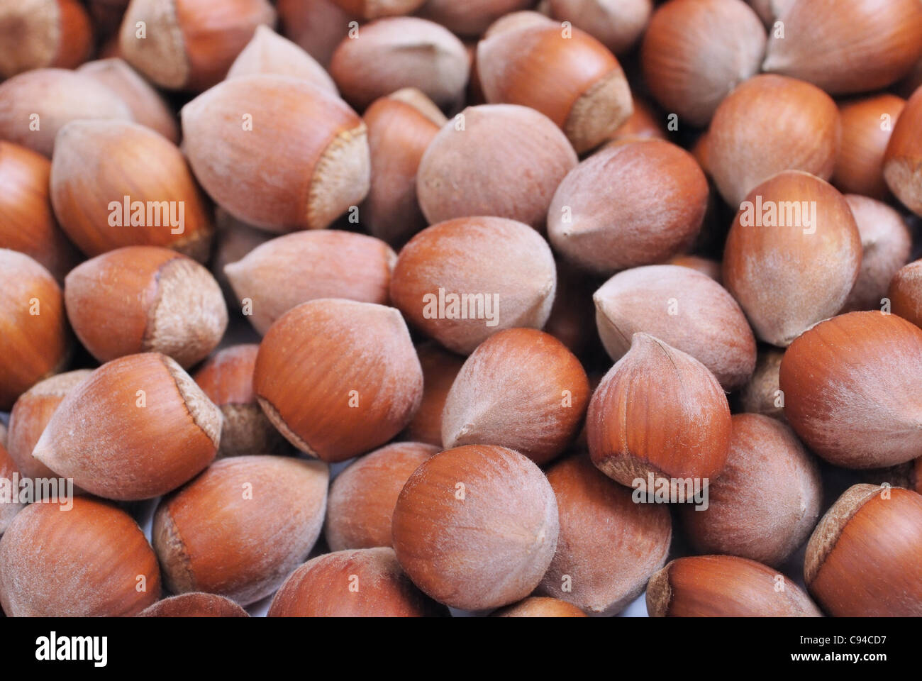 heap of hazelnuts. food background Stock Photo - Alamy