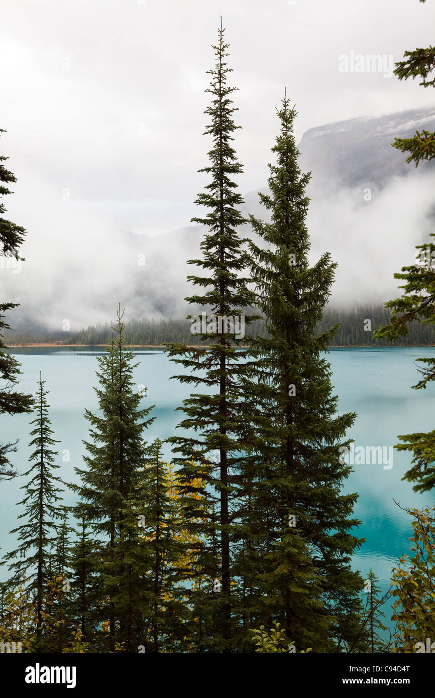Yoho national park autumn hi-res stock photography and images - Alamy