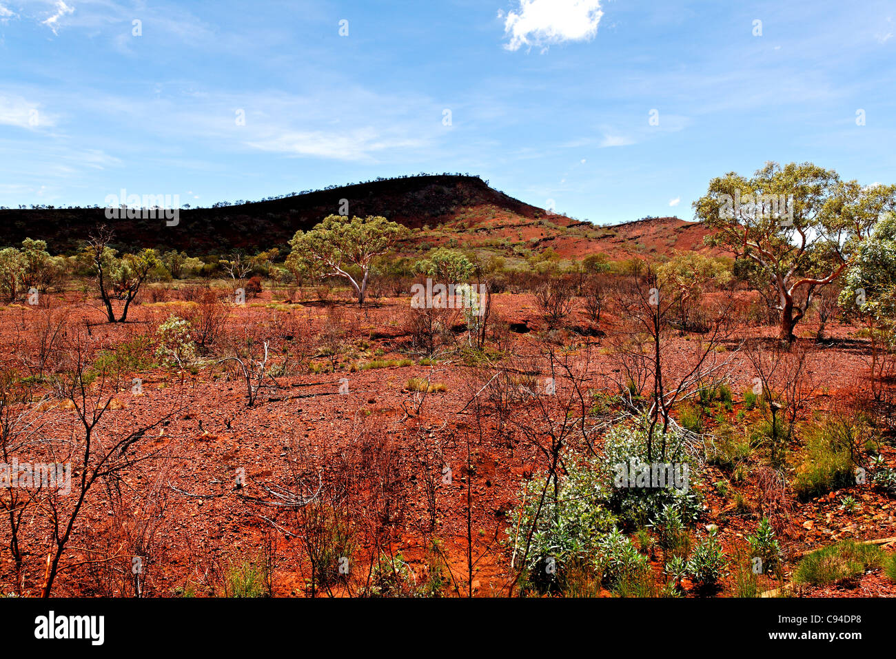 Australian outback landscape, Pilbara Western Australia Stock Photo - Alamy