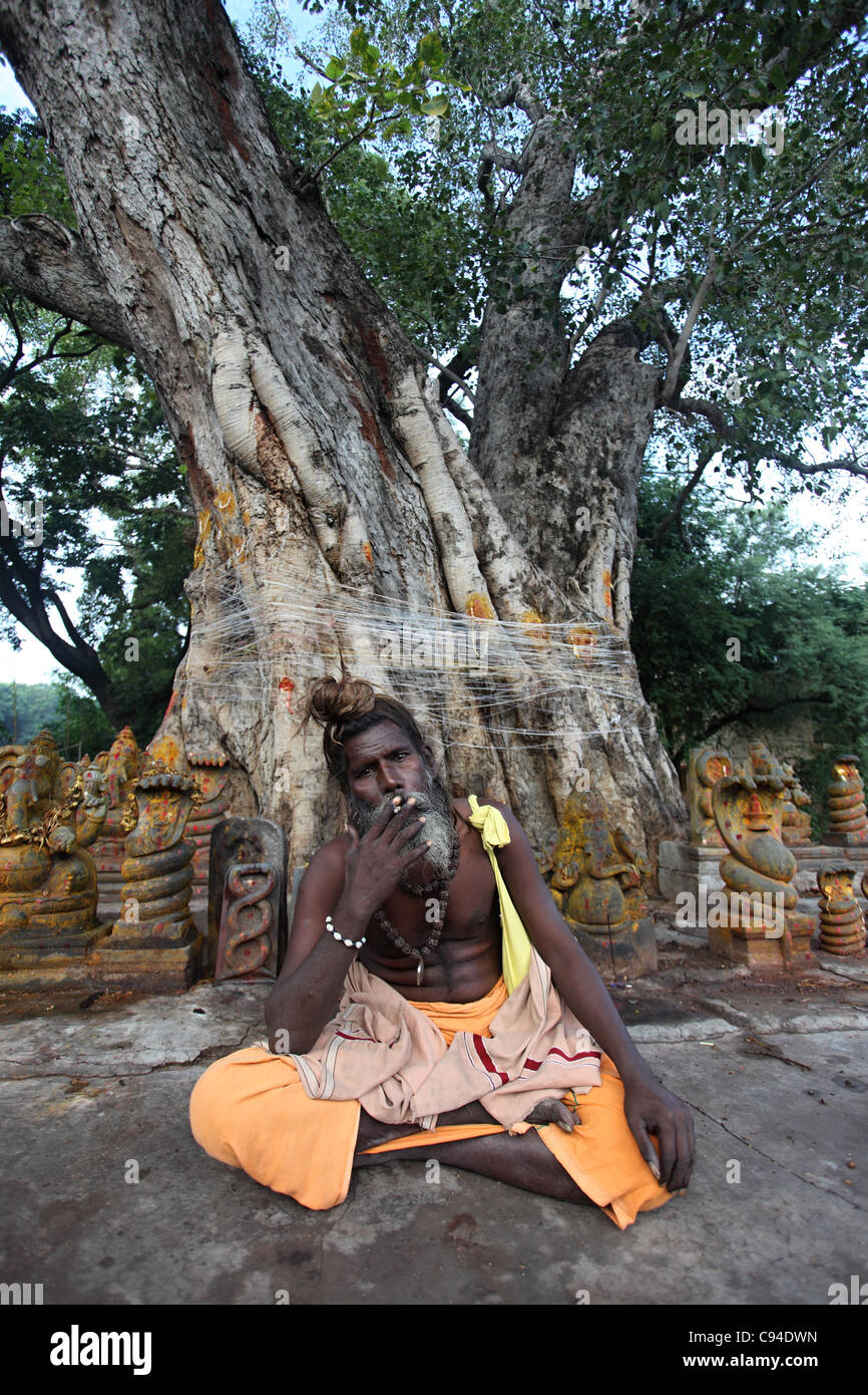 Sadhu sitting and smoking at a holy tree with statues of Hindu gods ...