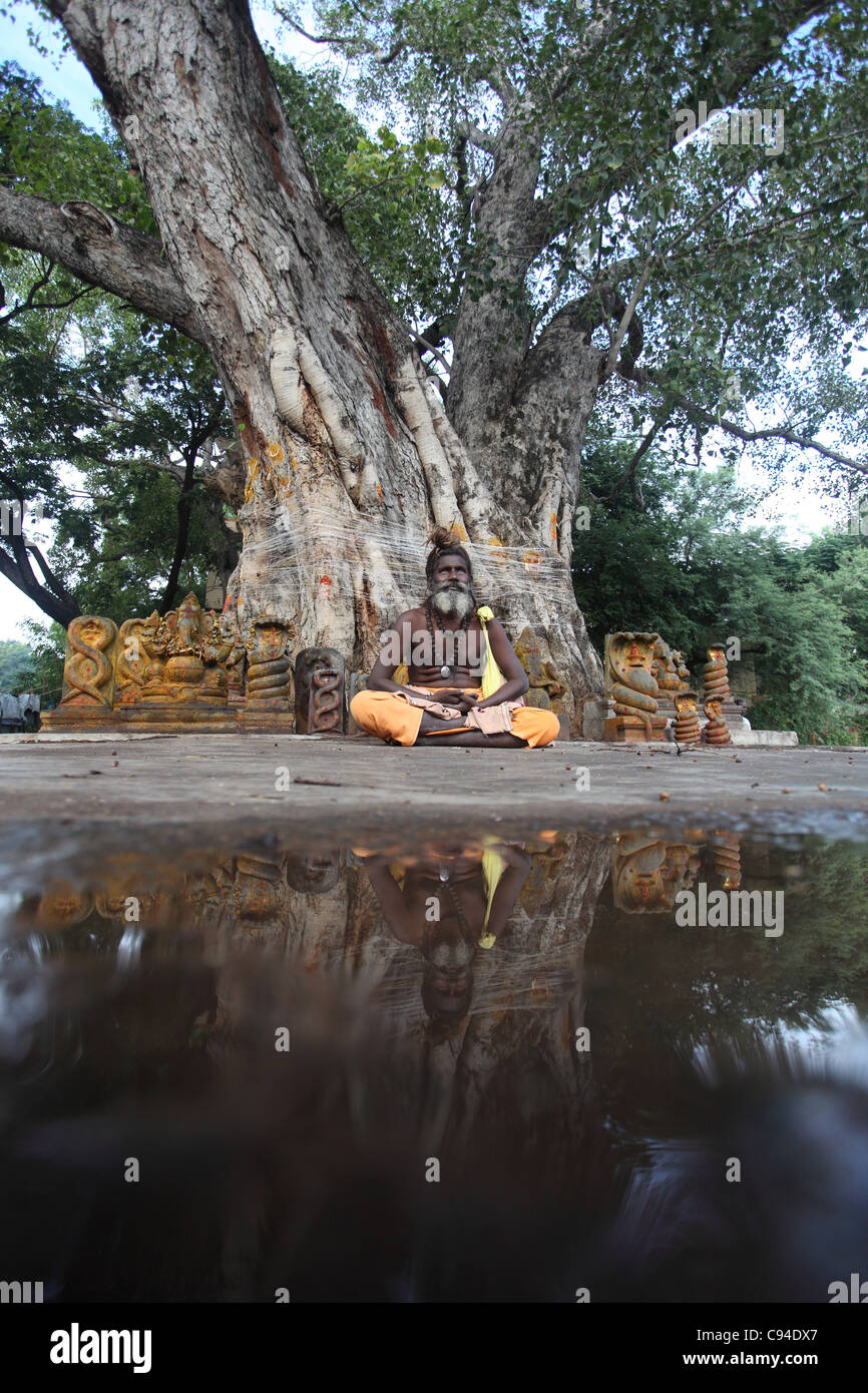 Sadhu thiruvannamalai tamil nadu hi-res stock photography and images ...