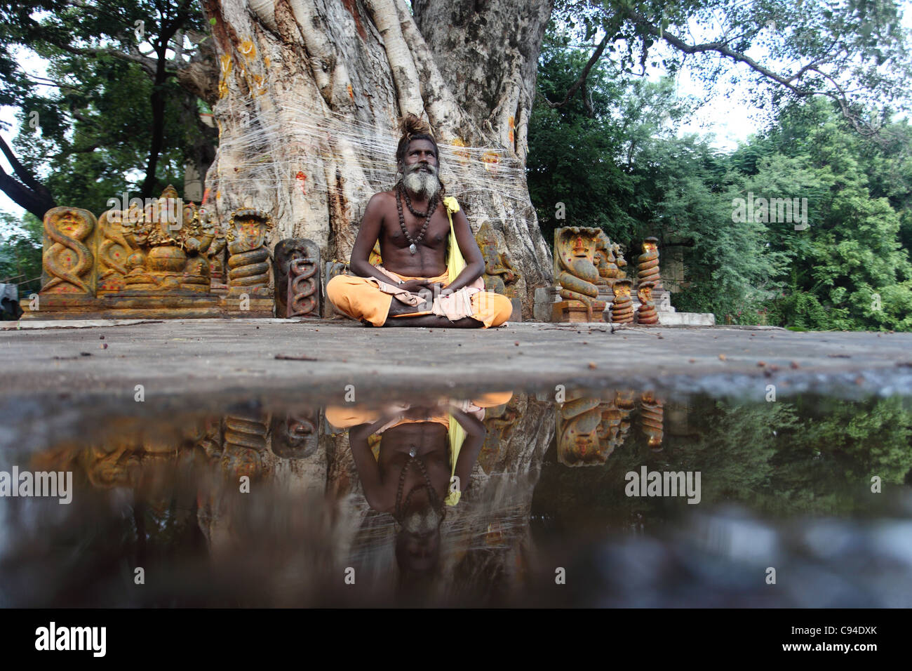 Sadhu sitting at a holy tree with statues of Hindu gods Tamil Nadu ...
