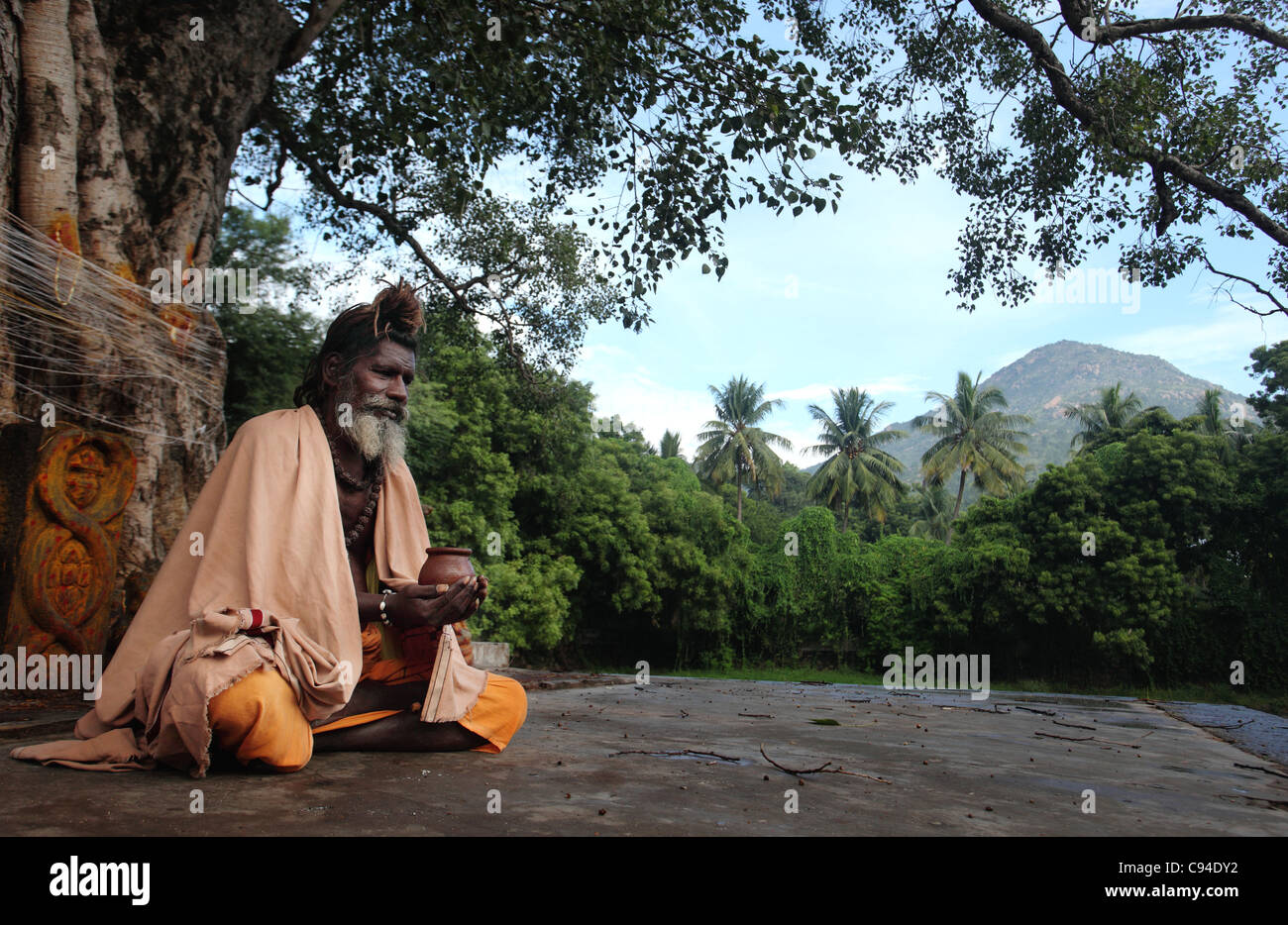 Thiruvannamalai hi-res stock photography and images - Alamy